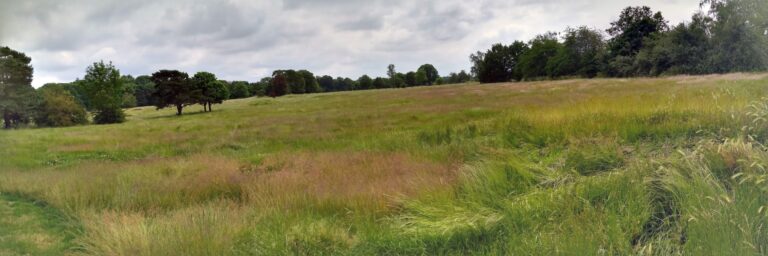 Whitewebbs Park Enfield – Woodland and open space for walkers, runners ...